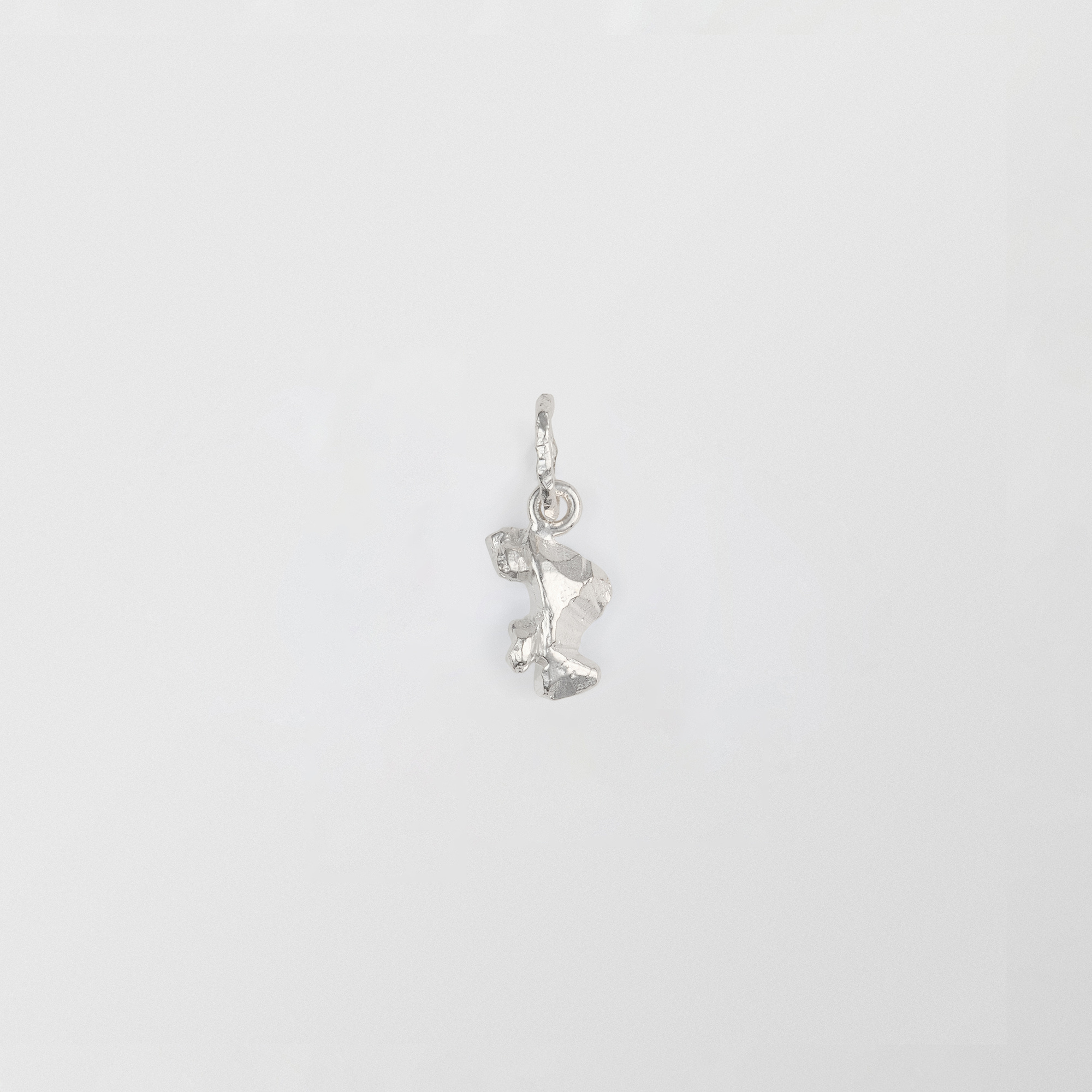 Ringo Turtle - Pendant in silver, 9 mm, with ring 18 mm.